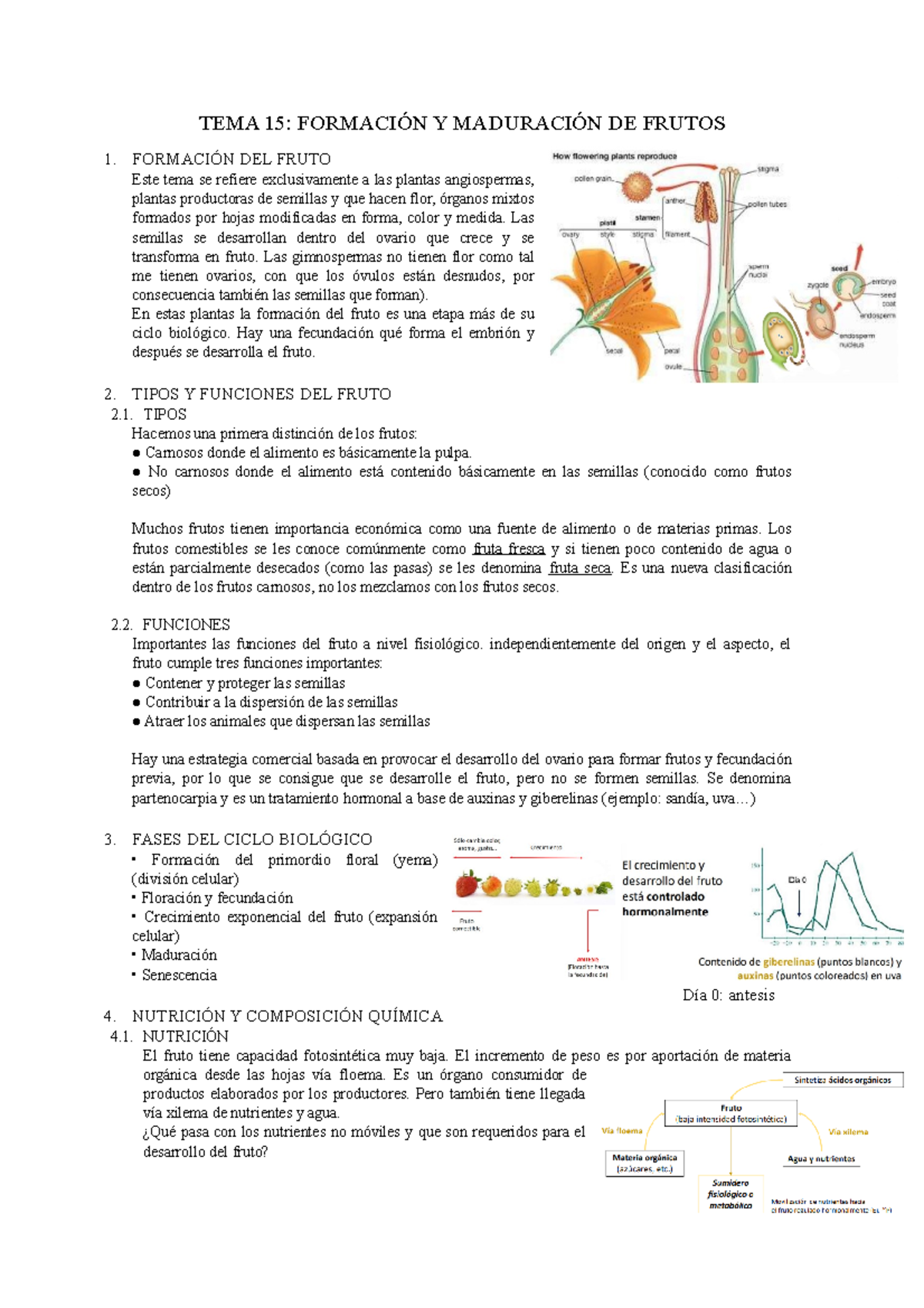 TEMA 15 formación y maduración de los frutos - TEMA 15: FORMACIÓN Y ...