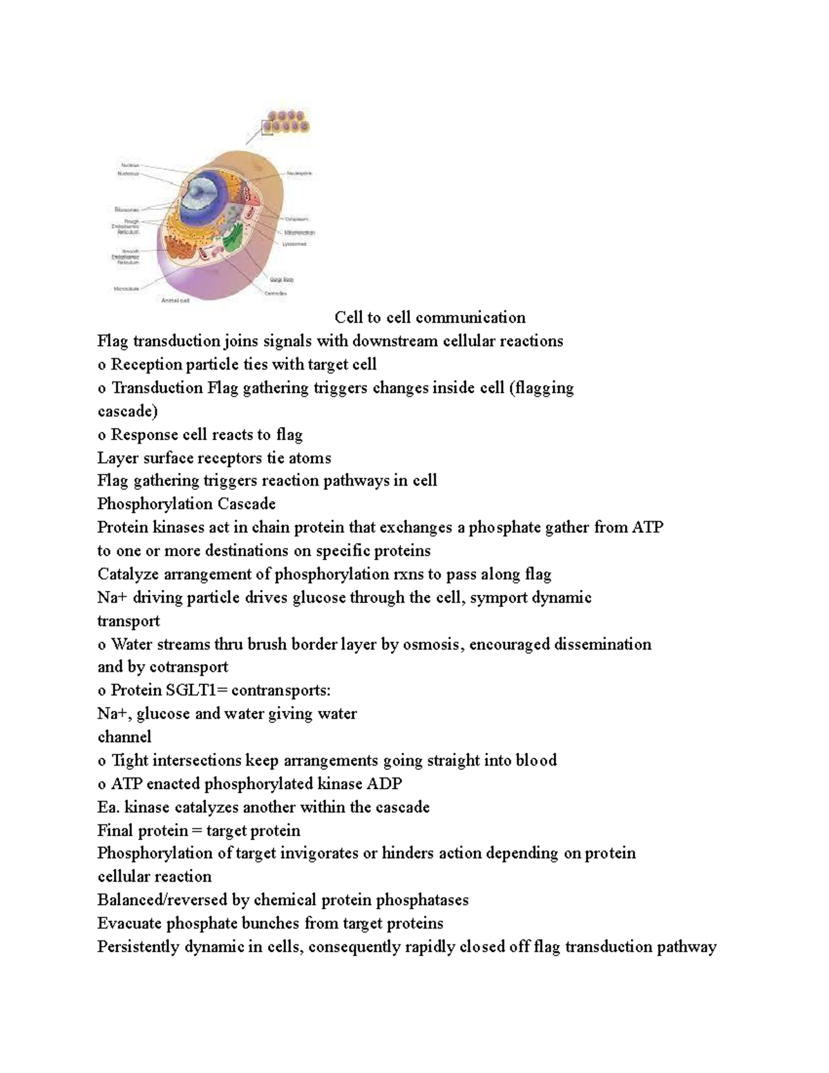 Cell to cell - cell to cell lecture notes - Cell to cell communication ...