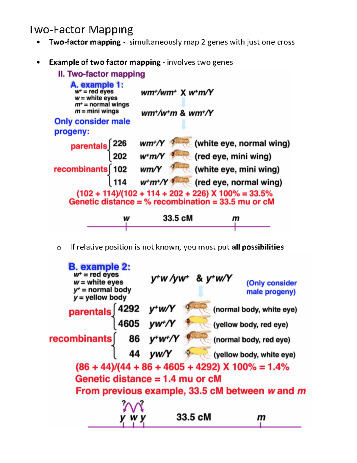Linkage-10 - Genetics notes - PAN 5005 - Two-Factor Mapping Two-factor ...