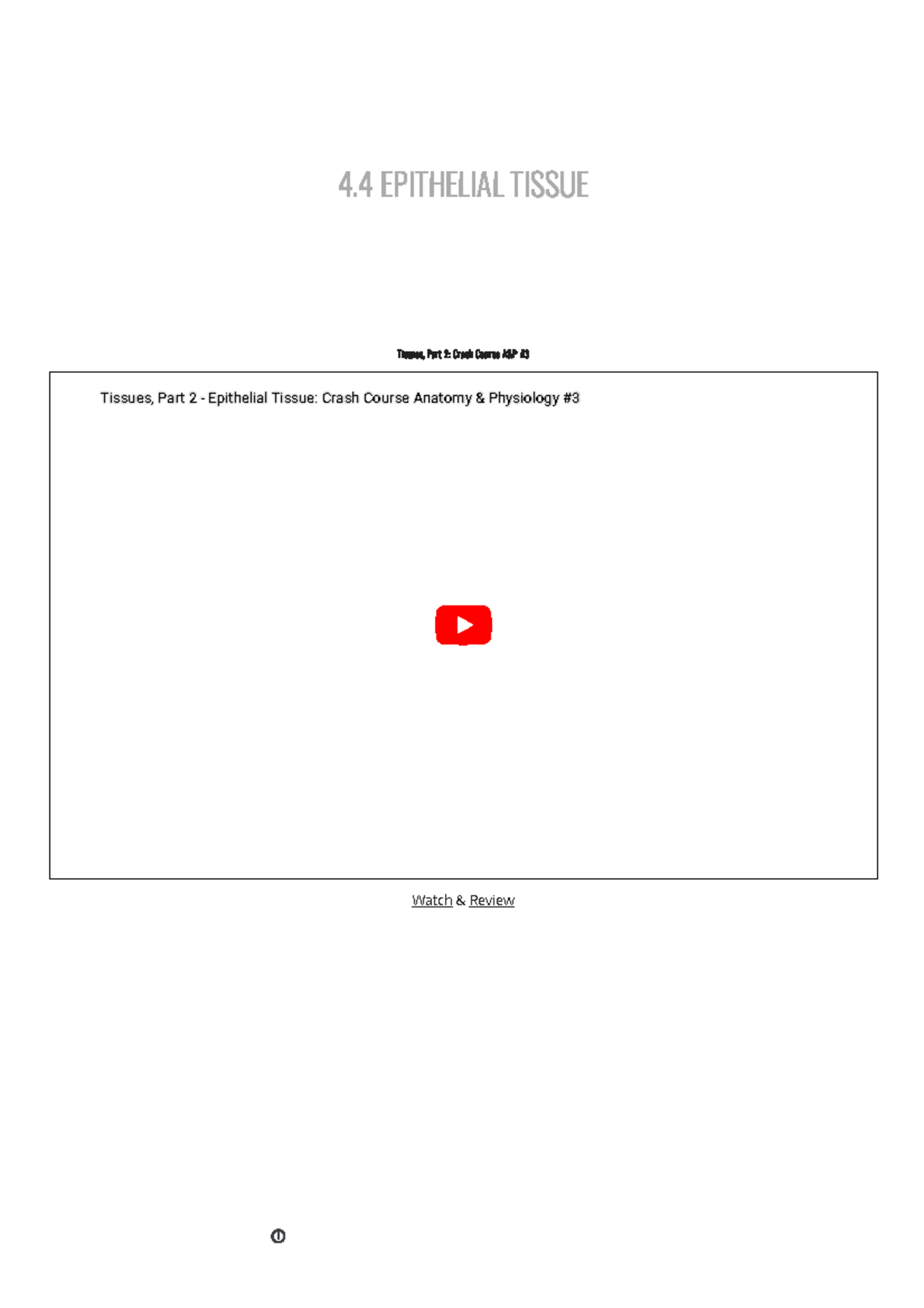 A&P - 4.4 Epithelial Tissue - 4 EPITHELIAL TISSUE Tissues, Part 2 ...