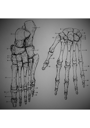 2021-03-19 heart quiz - BI 275 - Studocu