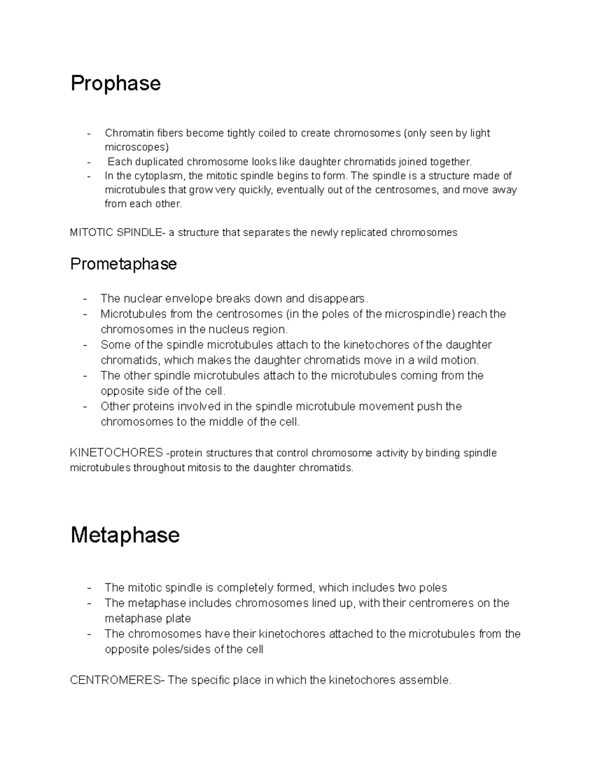 Mitosis detailed descriptions - Prophase - Chromatin fibers become ...