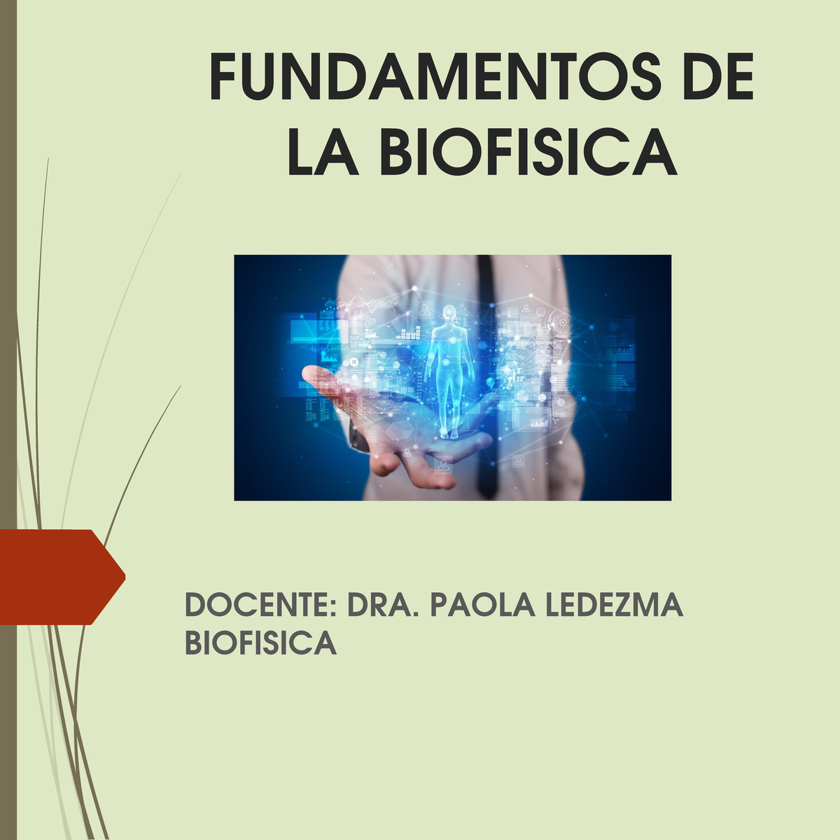 Biofisca CAP1.pptx - ..................... - Biofísica - FUNDAMENTOS DE ...