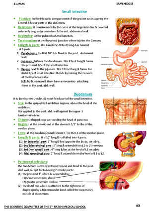 Large Intestine - 50 LARGE INTESTINE Beginning: it begins at the ...