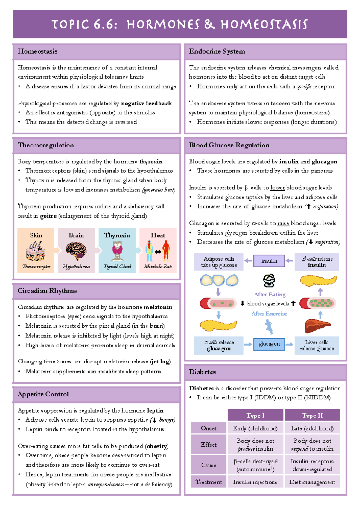 Hormones and Homeostasis - Diabetes Diabetes is a disorder that ...