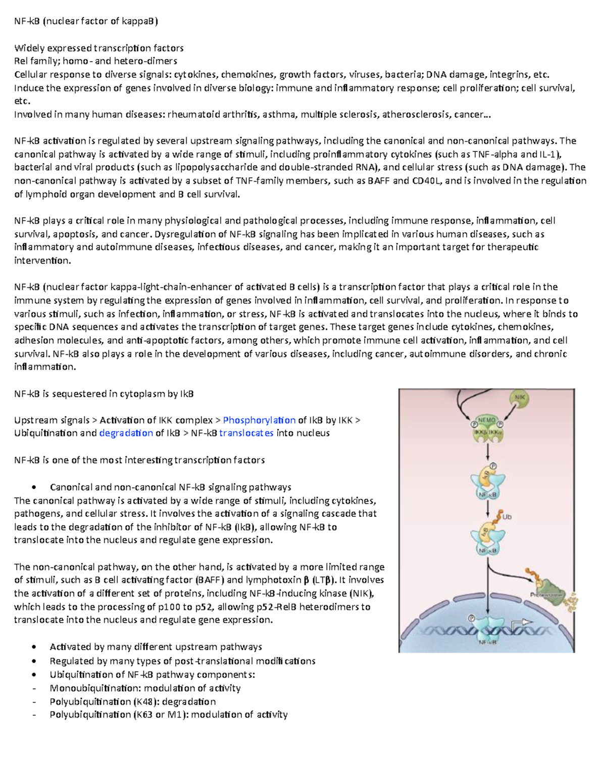 Cell Signaling Class 18 Nf Kb Nuclear Factor Of Kappab Widely