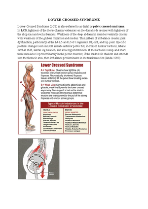 Functionalanatomy - NASM Functional anatomy - Functional Anatomy and ...