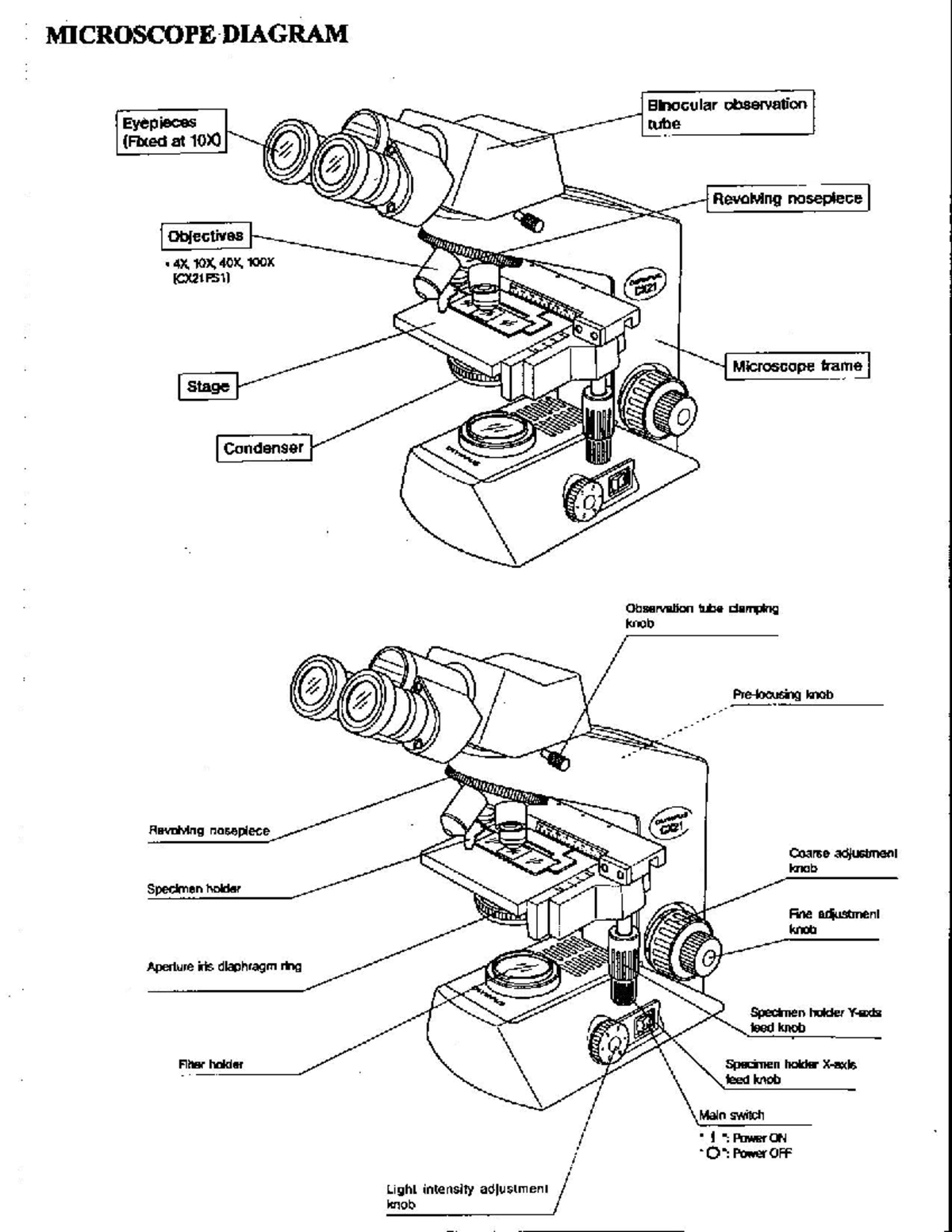 Microscope handout - BIOL 2013 - Studocu
