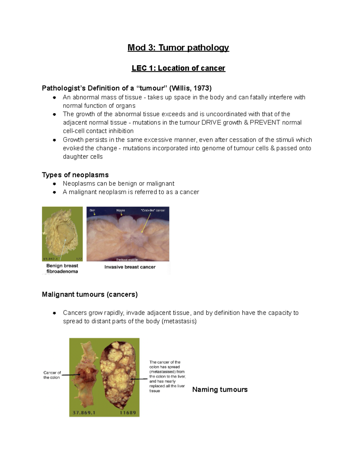Cancer-Week 4 - Lecture notes - Mod 3: Tumor pathology LEC 1: Location ...