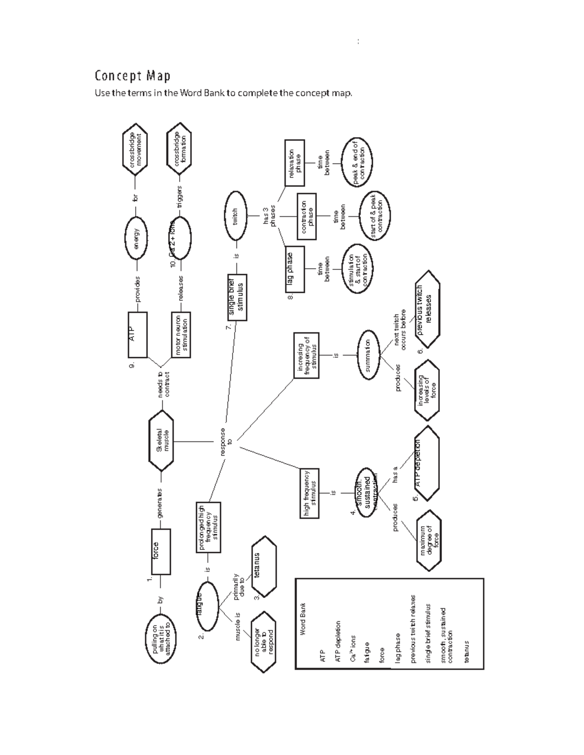 Chapter 10, Concept Map 2 - : Concept Map Use the terms in the Word Bank to complete the concept ...