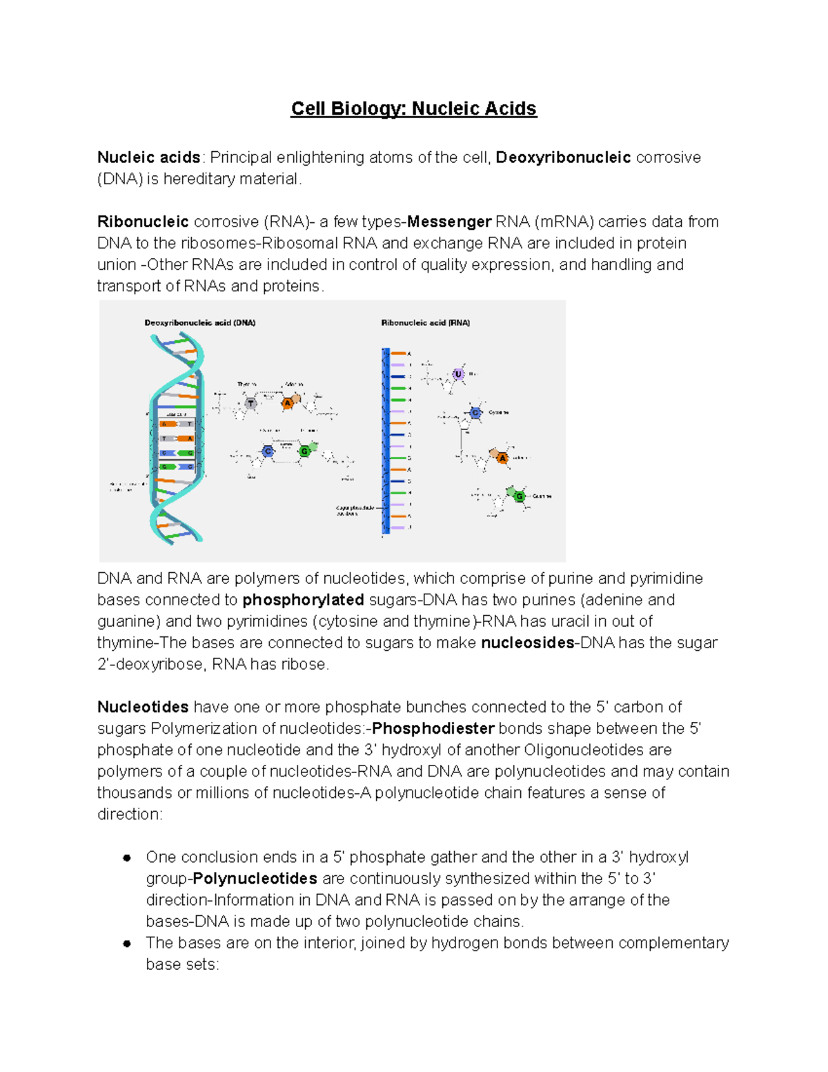 Cell Biology Nucleic Acids - Cell Biology: Nucleic Acids Nucleic acids ...