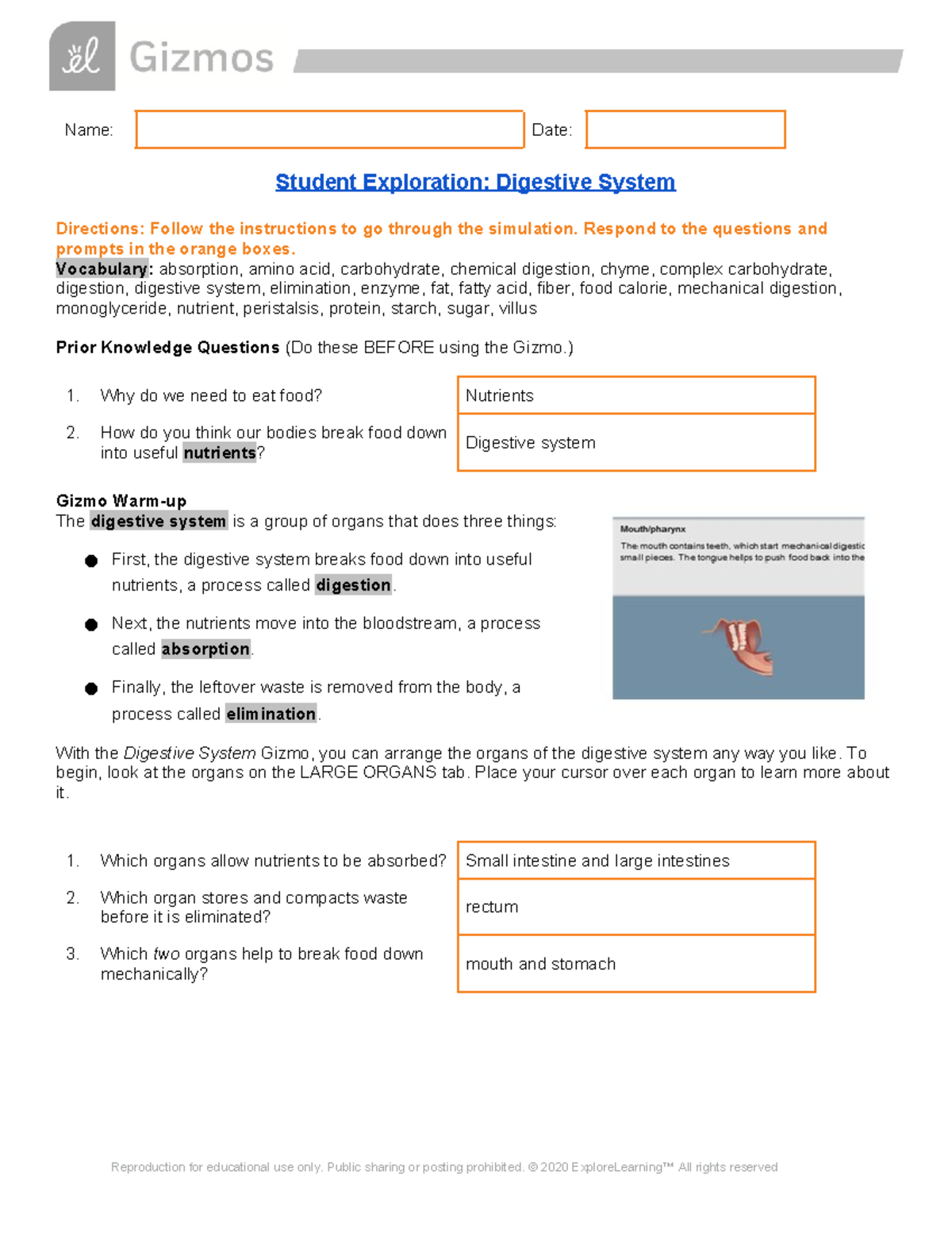 Copy of Digestive System SE - Name: Date: Student Exploration ...