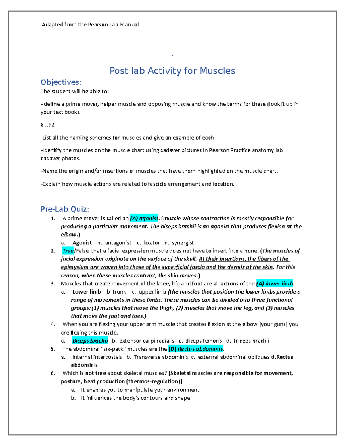 Post lab #10-Activity for Muscles - . Post lab Activity for Muscles Objectives: The student will ...
