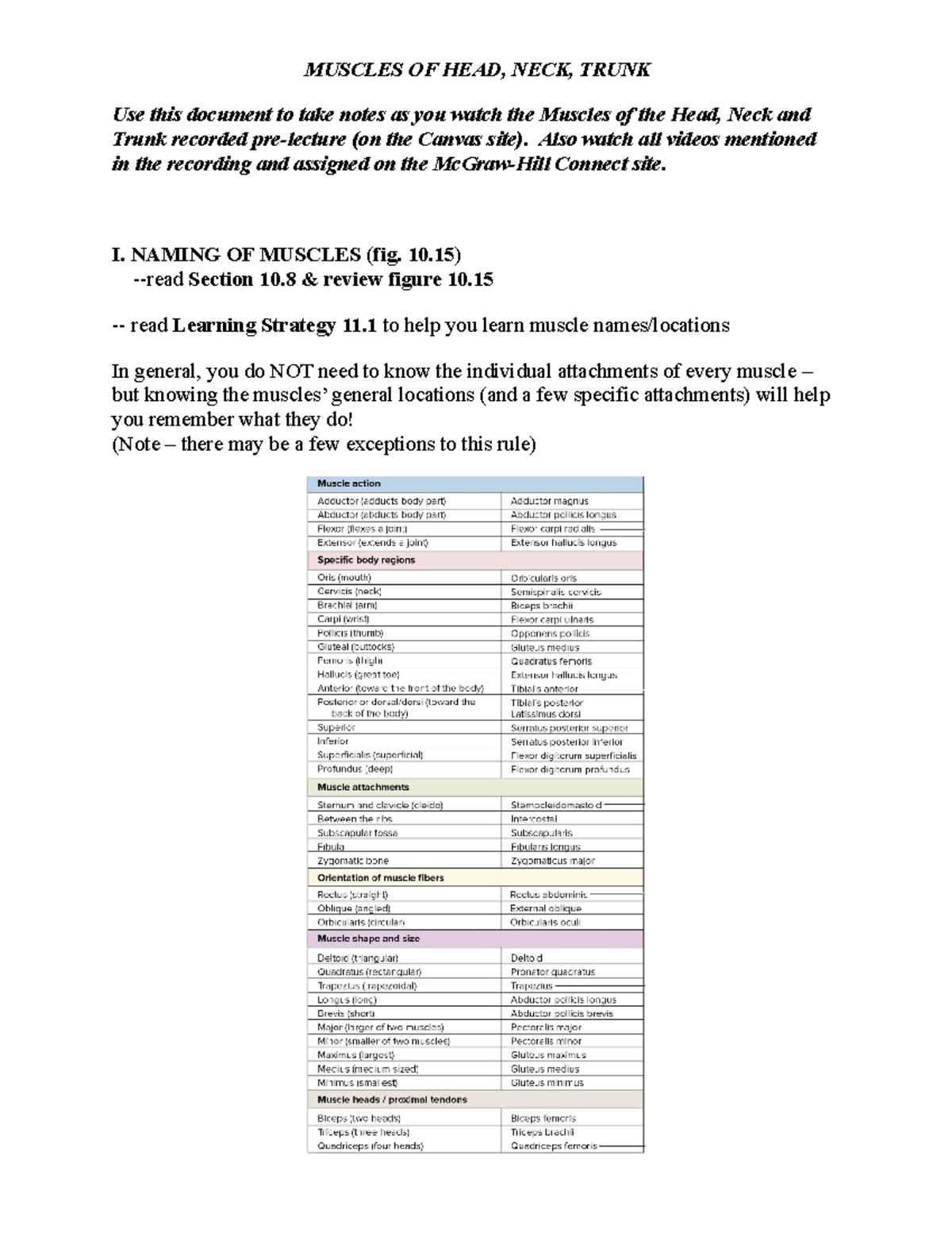 Muscles HNT - Dr. Valerie Dean O'Loughlin, Dr. Kathryn Propst, Dr ...