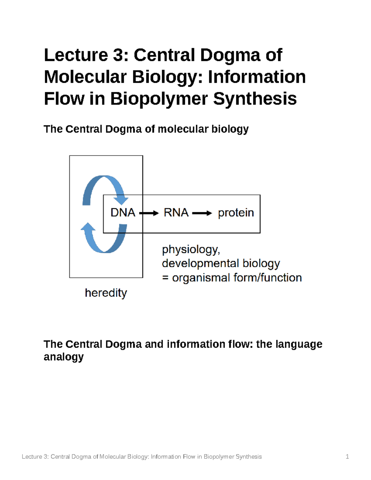 Lecture 3 Central Dogma of Molecular Biology Information Flow in Biopolymer Synthesis - The ...