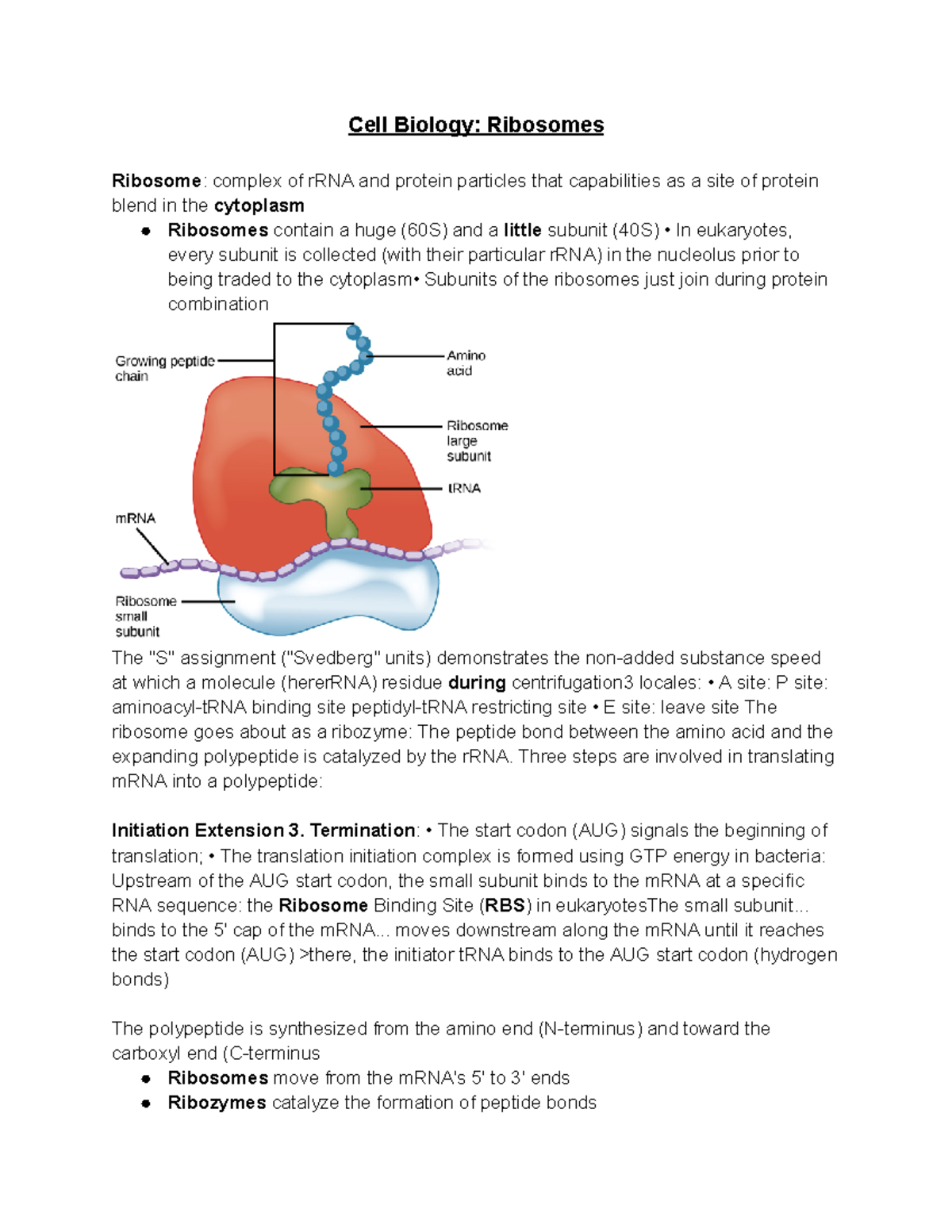 Cell Biology Ribosomes - Cell Biology: Ribosomes Ribosome: complex of ...