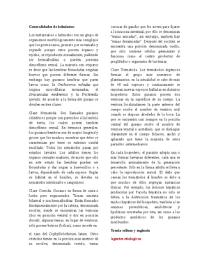 Cimicosis - La picadura en la piel causa prurigo y pueden desencadenar ...