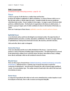Unit 2.2 (Skeletal System) - Unit 2 Study Guide Excluded from study ...