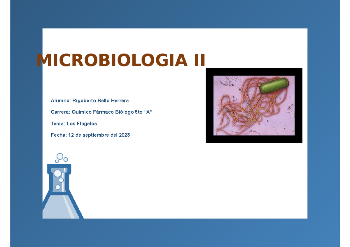 LOS Flagelos - este trabajo contiene todo lo relacionado a lo que es el ...