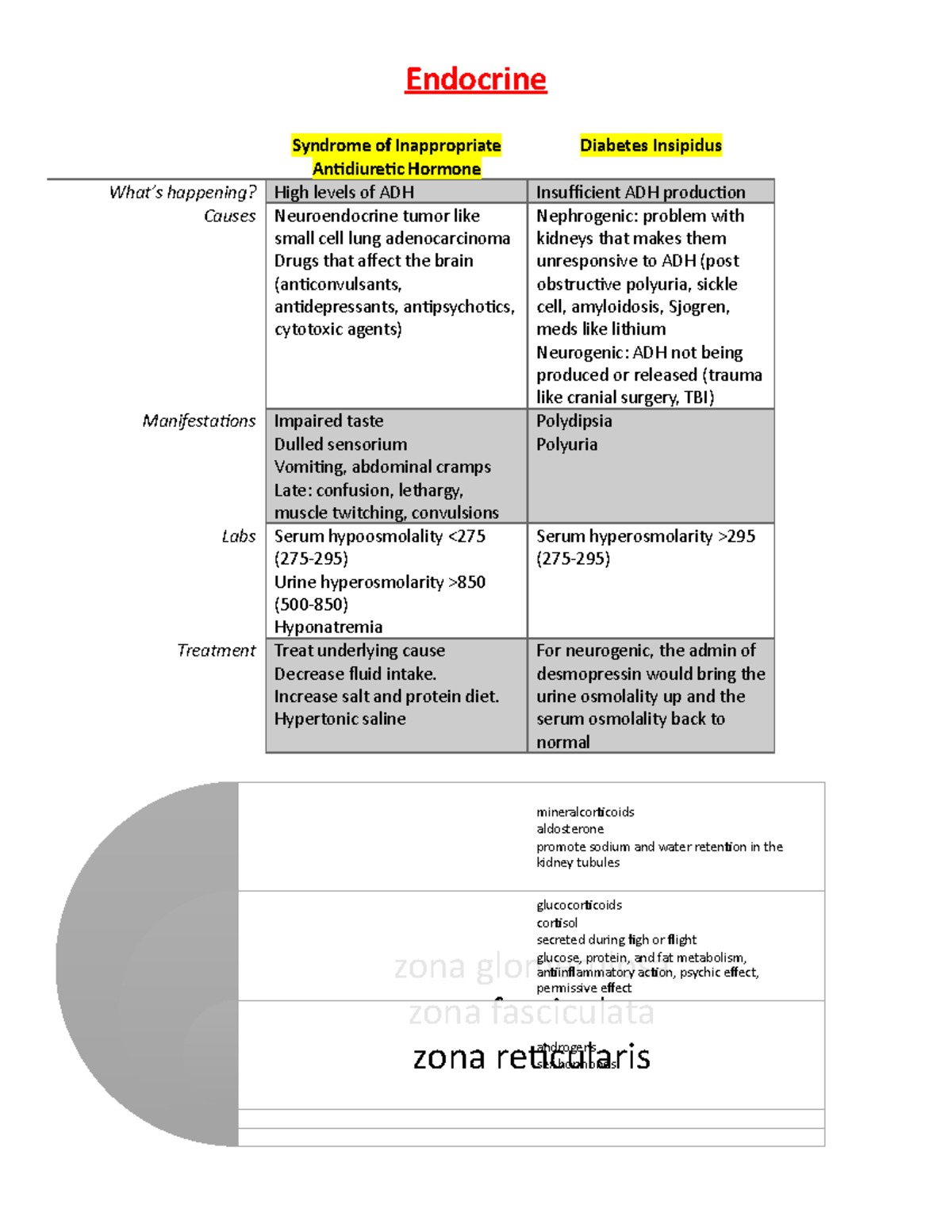 Patho Final Exam Charts - Endocrine zona glomerulosa zona fasciculata ...