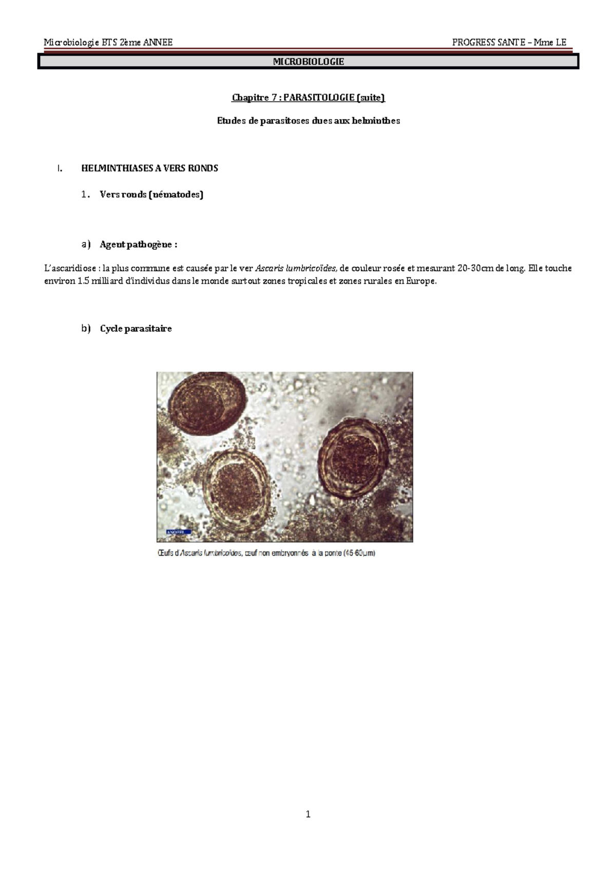 Cours microbiologie parasitologie suite - MICROBIOLOGIE Chapitre 7 ...