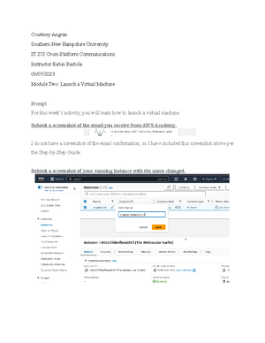It 226 2-1 milestone - It 2 2-1 milestone activity Megan 9Underwood ...