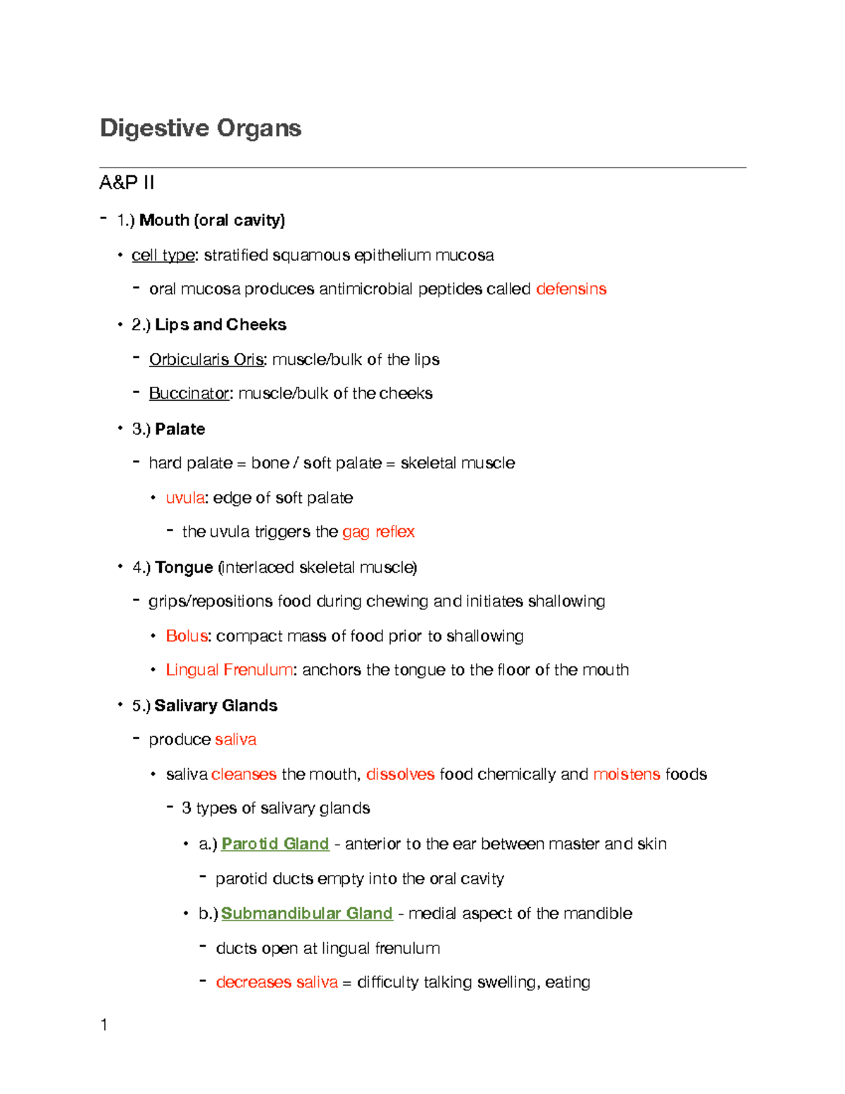 Digestive Organs (Mouth-Stomach) - Digestive Organs A&P II - 1.) Mouth ...