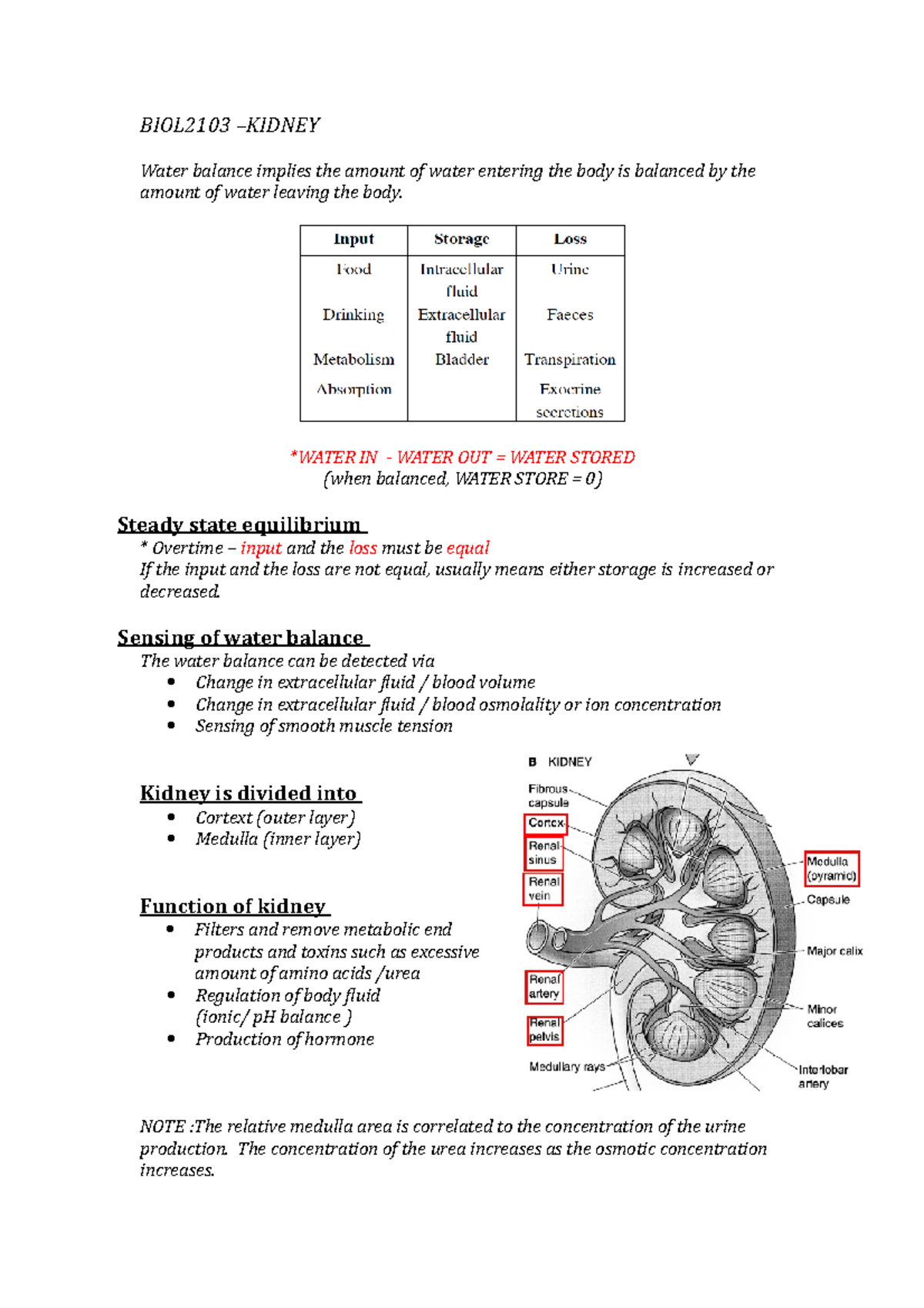 Lecture notes - Kidney and respiration - BIOL2103 Water balance implies ...