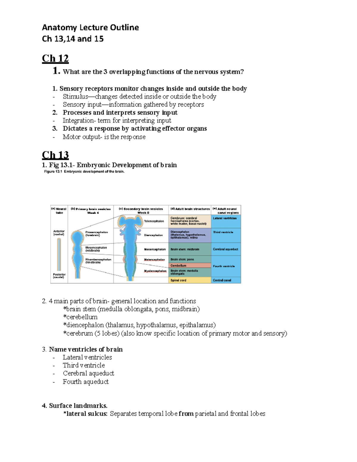Anatomy Lecture Outline- Exam 3 - Ch 13,14 and 15 Ch 12 1. What are the ...