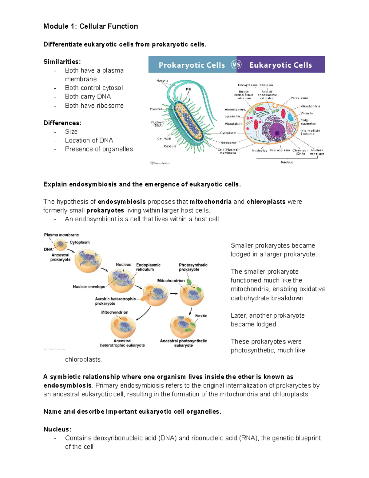 Midterm review, Modules 1-5 - Module 1: Cellular Function Differentiate ...