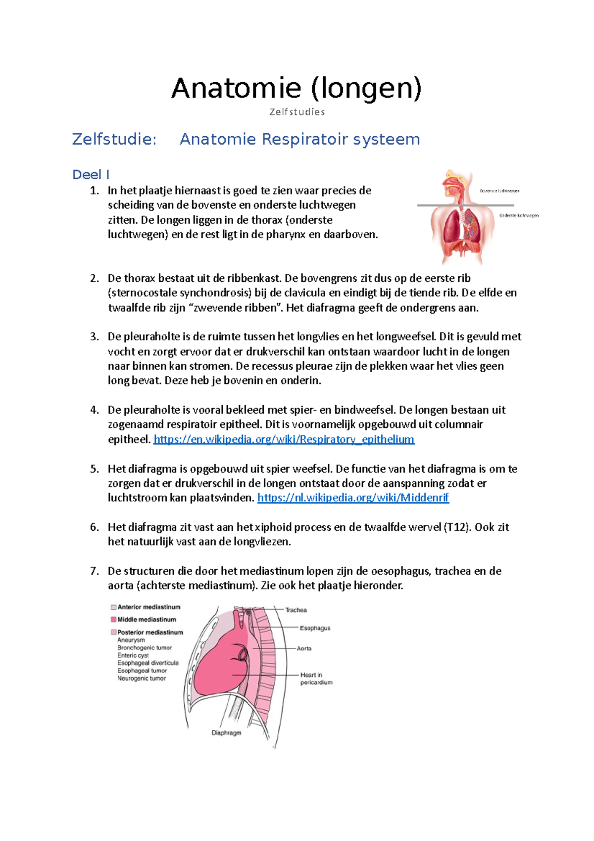 Zelfstudies (anatomie long) - Anatomie (longen) Zelfstudies Zelfstudie ...