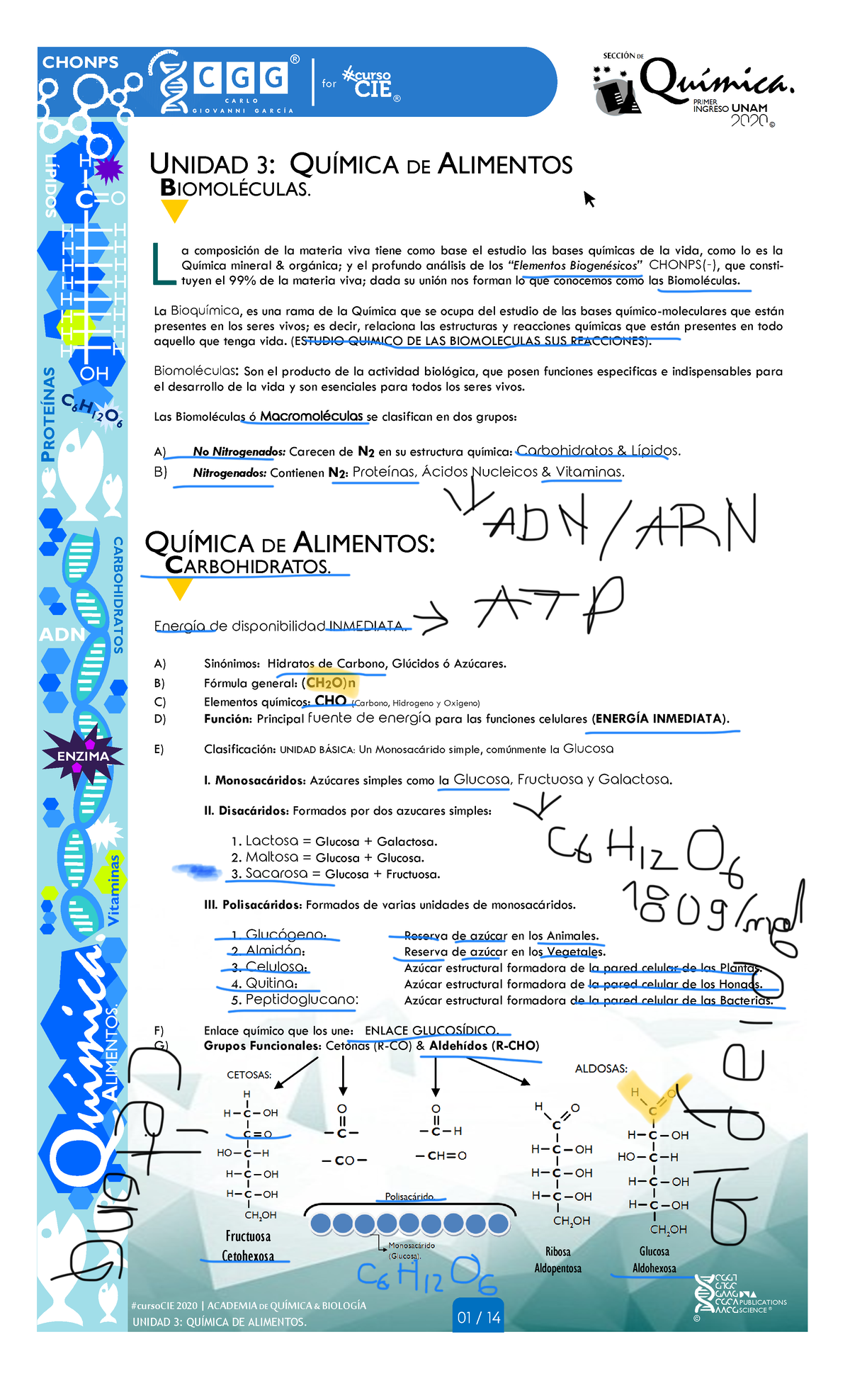 Copia de Química de Alimentos - Fructuosa Cetohexosa Ribosa Aldopentosa ...