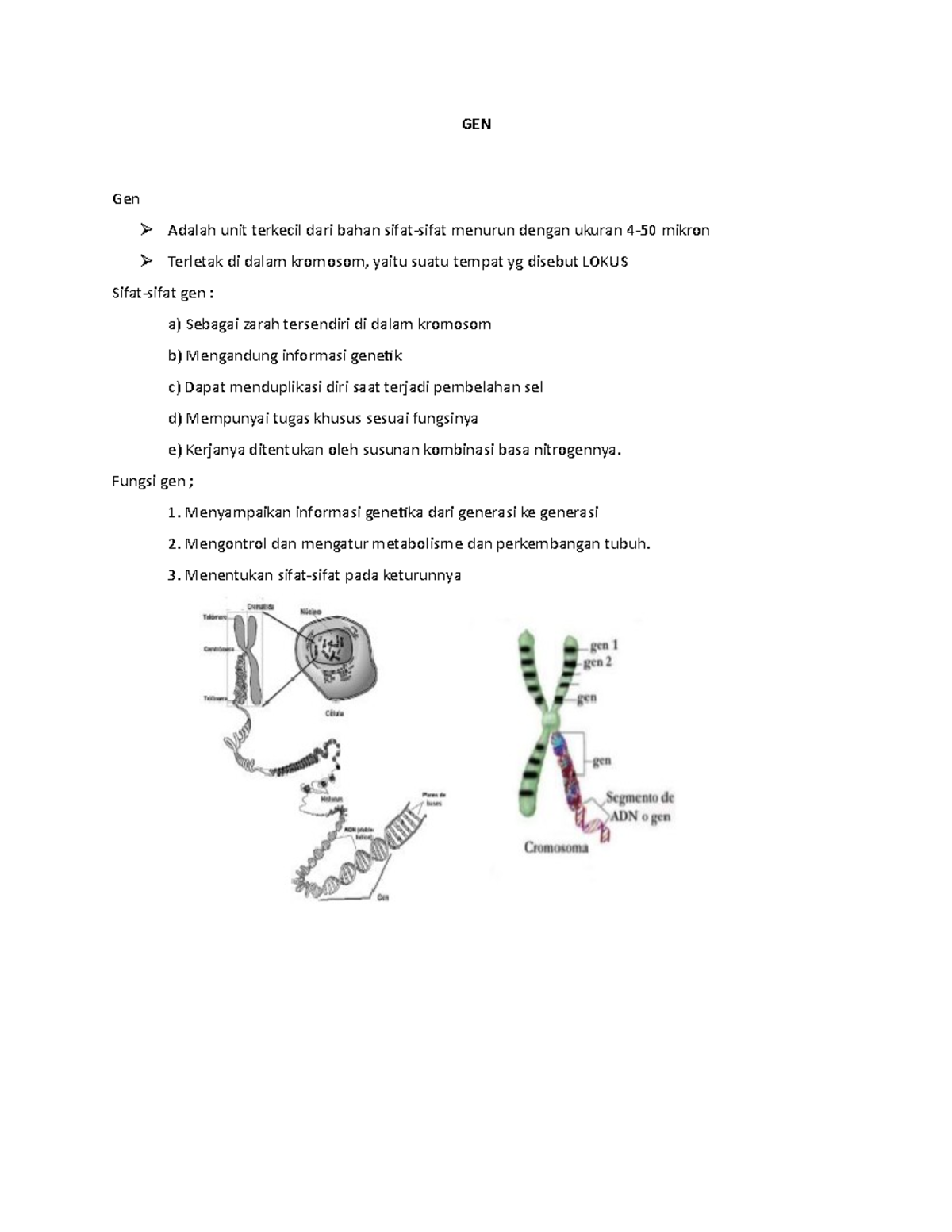 Biologi - Gen pada makhluk hidup - GEN Gen Adalah unit terkecil dari ...