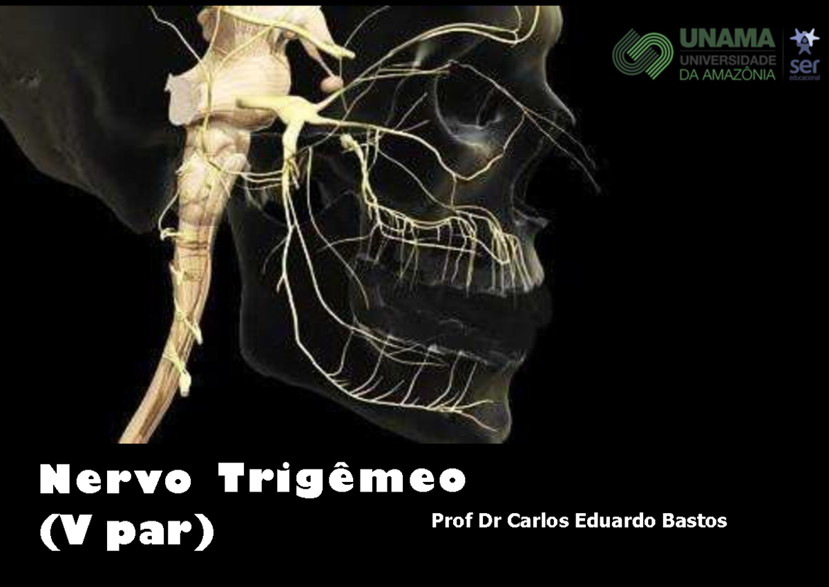 Aula - Nervo Trigêmeo - Nervo Trigêmeo (V par) ####### Prof Dr Carlos ...