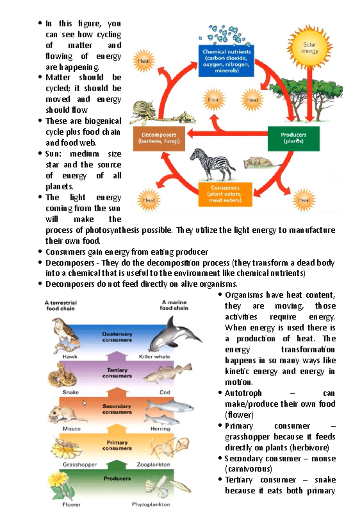 Environmental Science - Module 2 - In this figure, you can see how ...