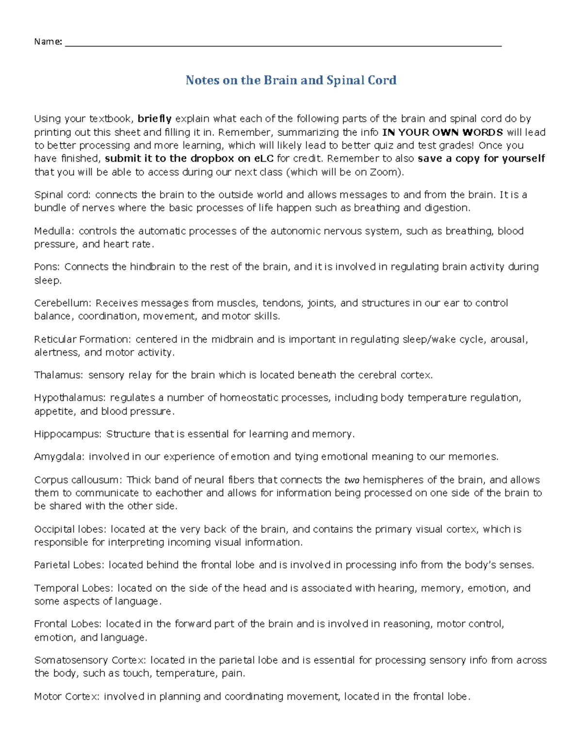 Brain and Spinal Cord HW Assignment - Name: - Studocu