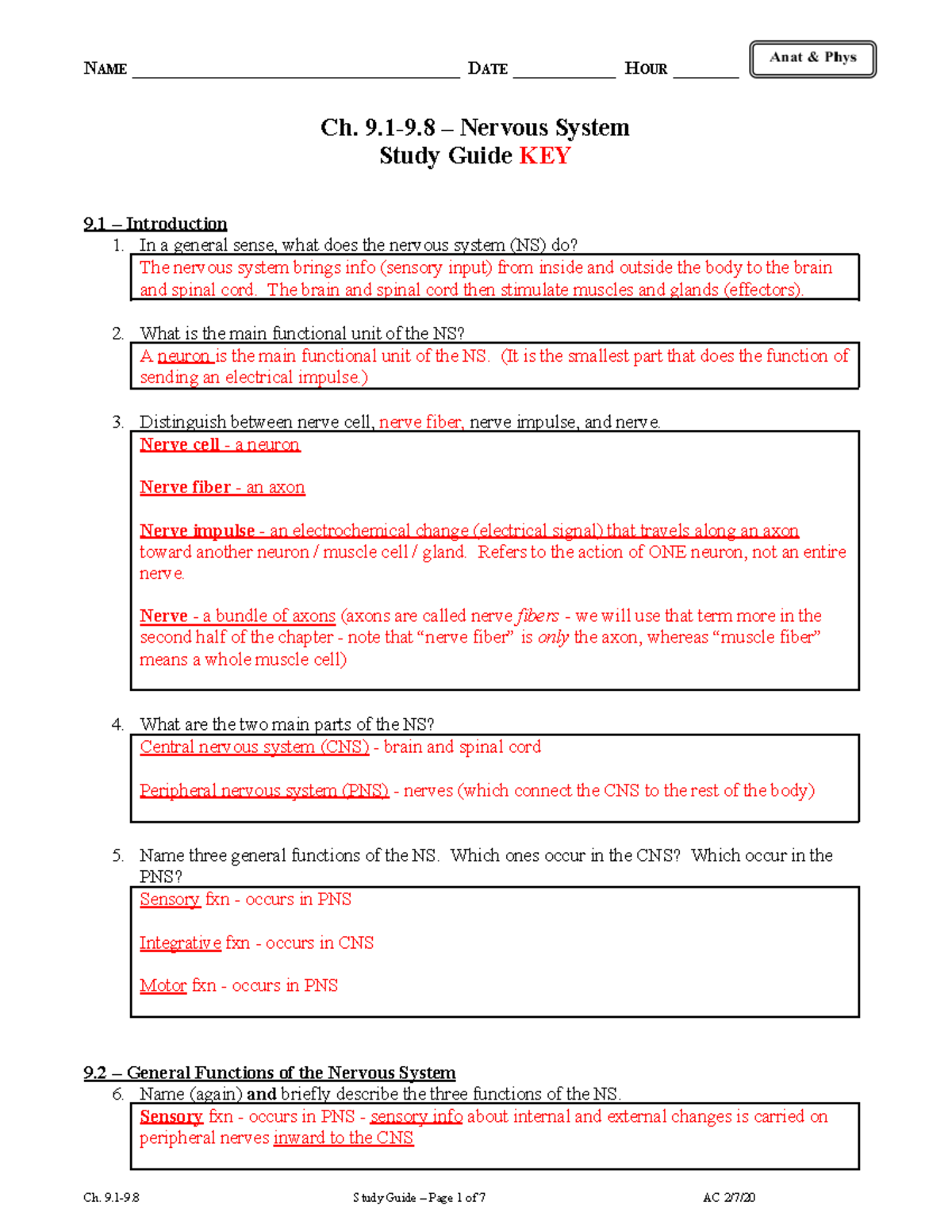 Classroom - Anatomy - Ch. 9.1-9 – Nervous System Study Guide KEY 9 ...
