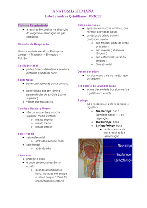 Digestivo 2 - Intestino delgado 114 DESCRIPCIÓN Configuración externa ...