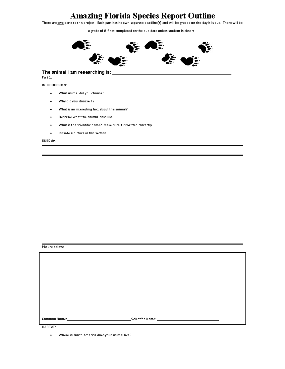 Animal Report Outline- North American - Amazing Florida Species Report ...