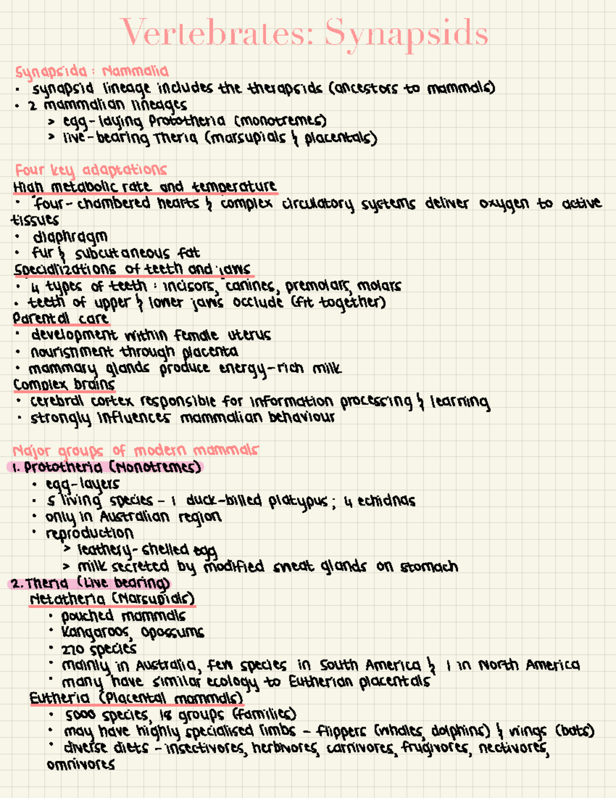 Vertebrates Synapsids - Vertebrates: Synapsids synapside : Mammalid ...