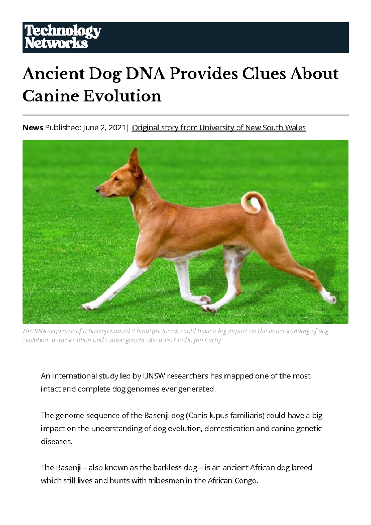 Ancient Dog DNA Provides Clues About Canine Evolution - Ancient Dog DNA ...
