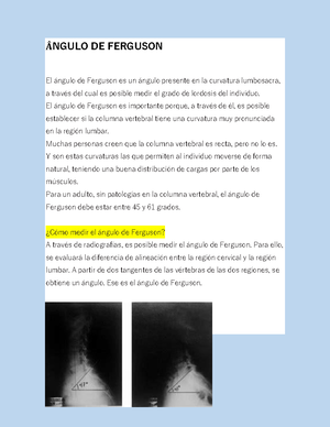 Región superciliar - anatomia topografica cabeza y cuello apuntes ...