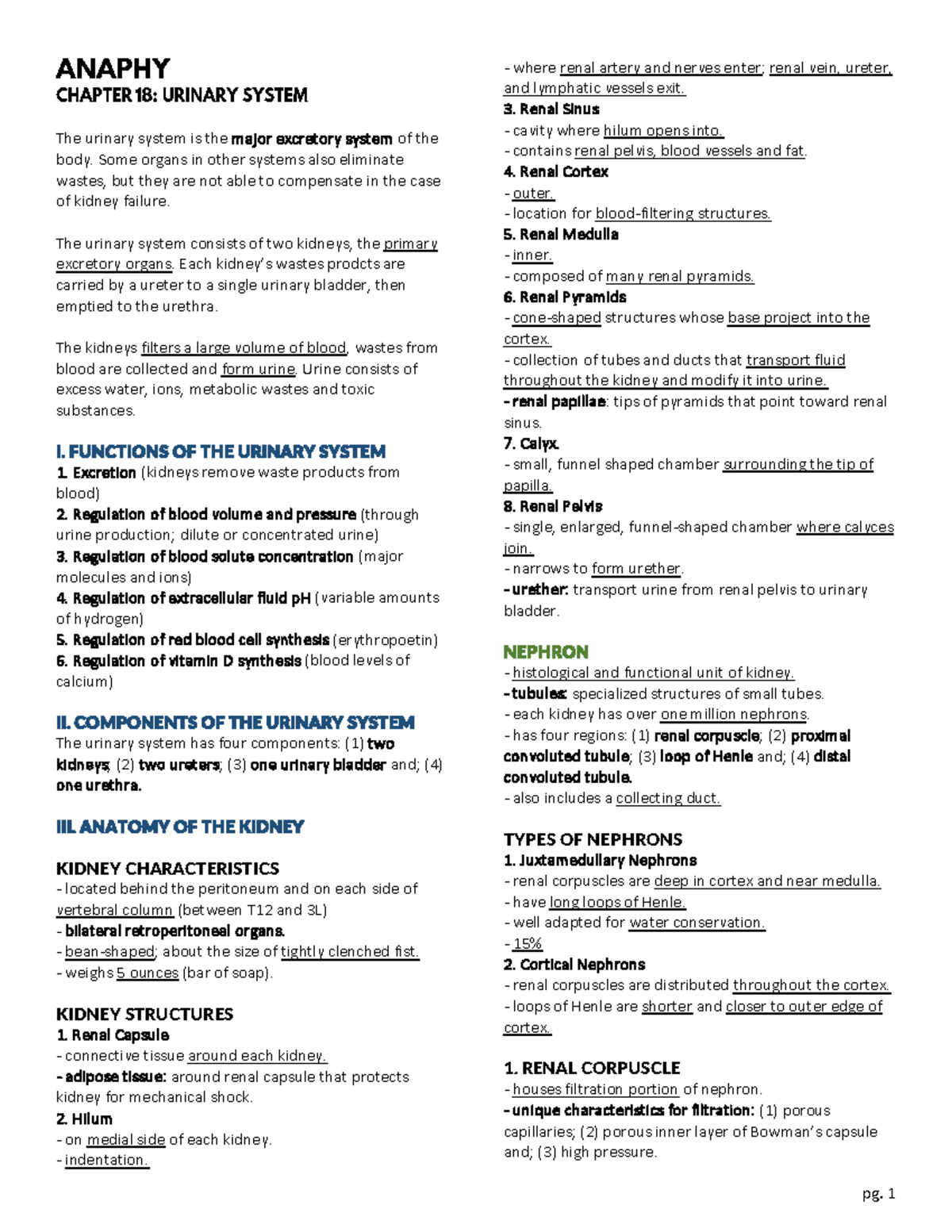 Chapter 18 Urinary System - The urinary system is the major excretory ...