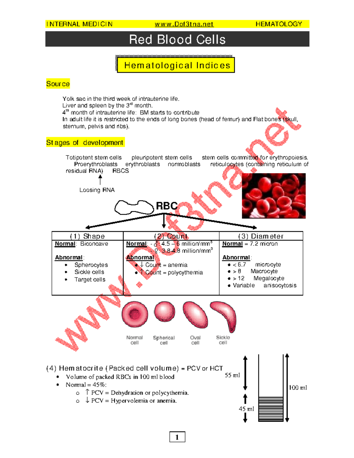 Dr Shaf3y Blood-63p - Hematology blood 2 - Red Blood Cells He m a ...