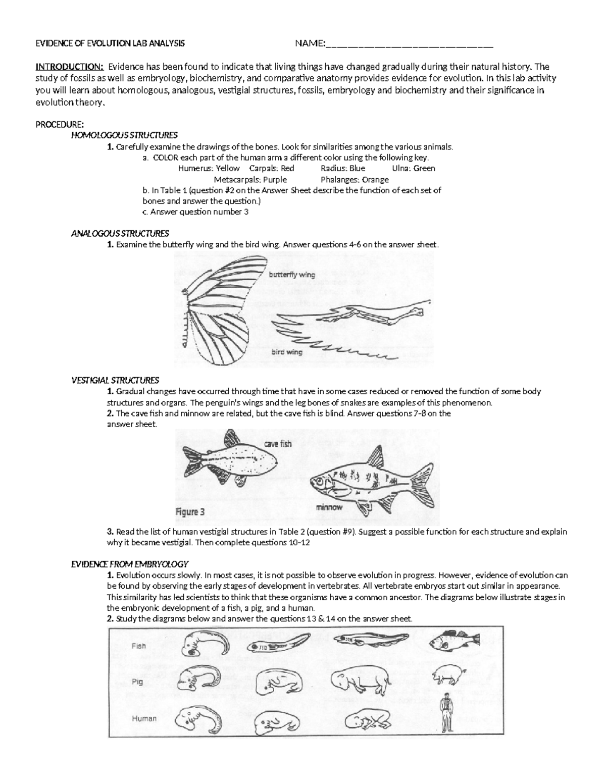 Evidence of Evolution Lab Analysis - INTRODUCTION: Evidence has been ...