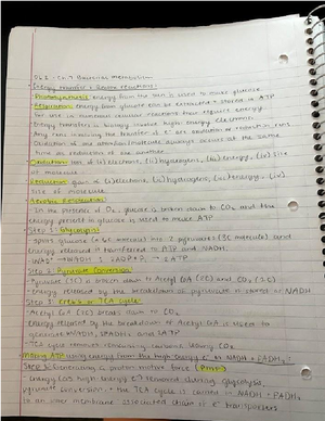 BIO205 inclass worksheet 17 and lecture notes - BIO 205 - Studocu