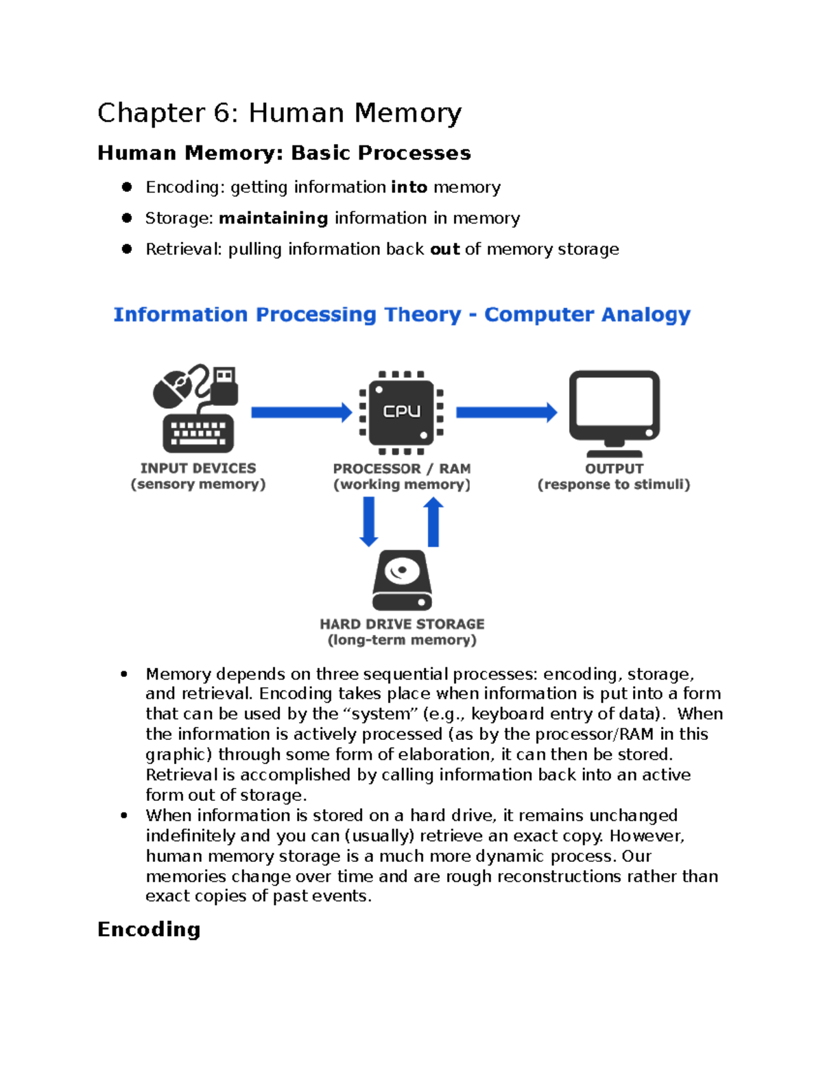 Chapter 6 Memory - Chapter 6: Human Memory Human Memory: Basic Processes Encoding: getting - Studocu