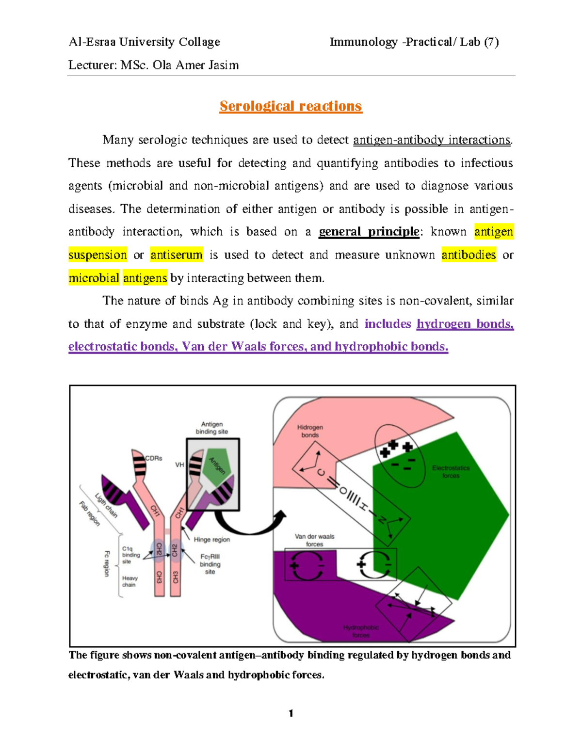 Serological reactions - Lecturer: MSc. Ola Amer Jasim Serological ...