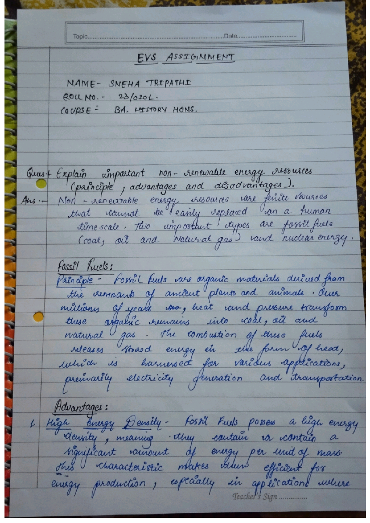 EVS Assignment - 22518 - Studocu