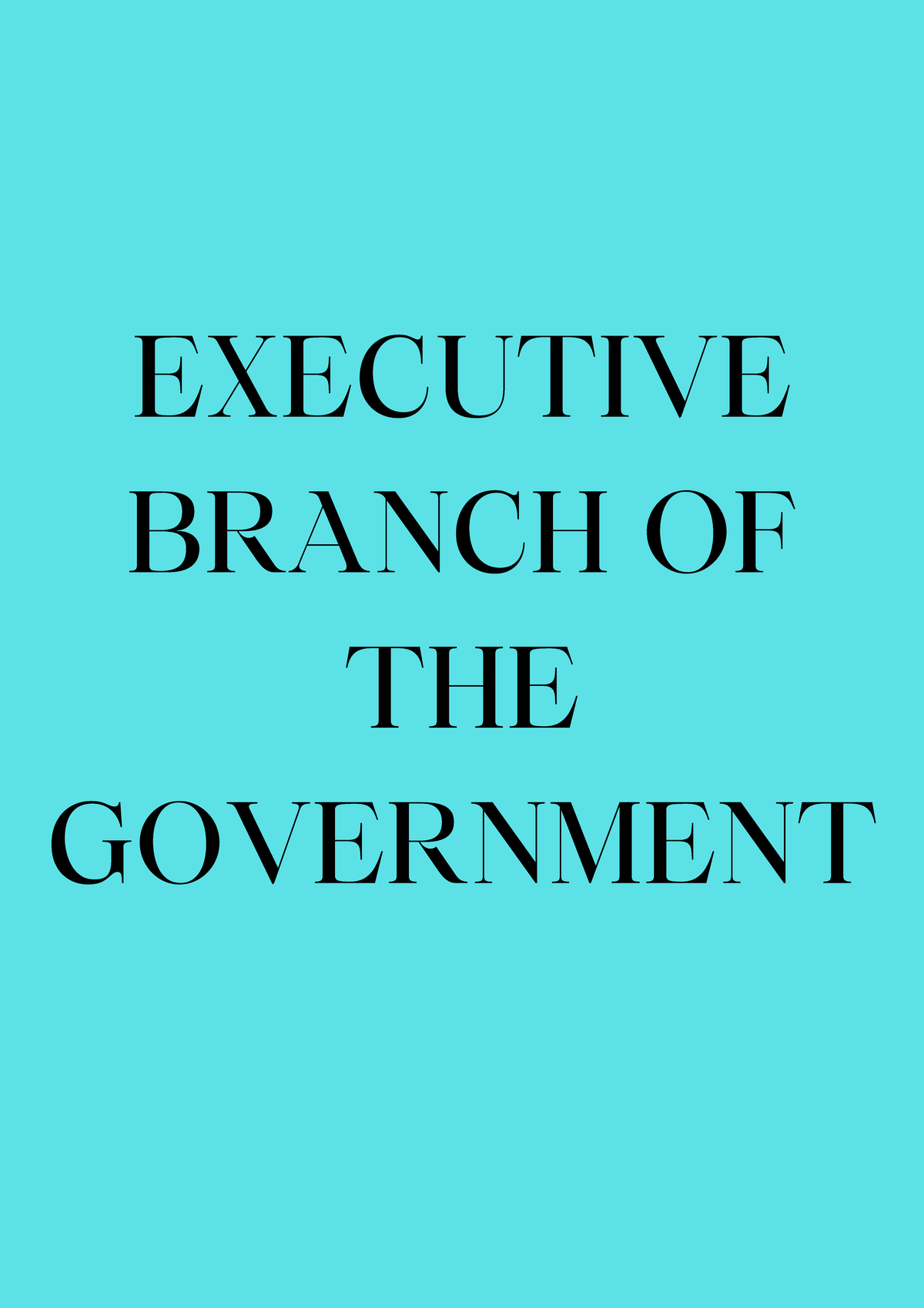 Executive Branch OF THE Government - Early Childhood Education ...